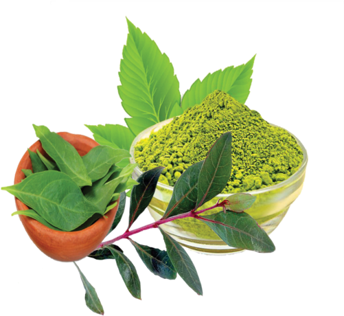 Download Henna Powder - Grasim Creations - Full Size PNG Image - PNGkit