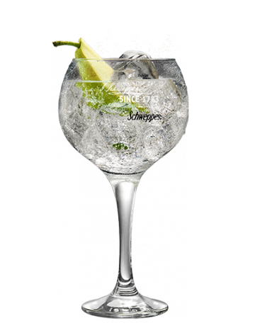 Download Grey Goose & Tónica Original Premium Grey Goose & Tónica ...