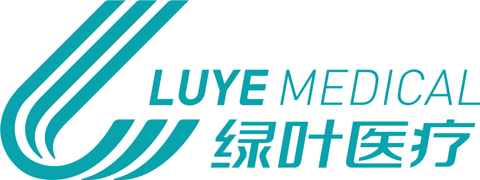 Download Luye Medical Logo - Full Size PNG Image - PNGkit