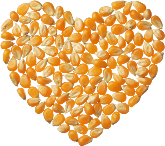 Download Popcorn Kernels - Popcorn Kernels Png - Full Size PNG Image ...