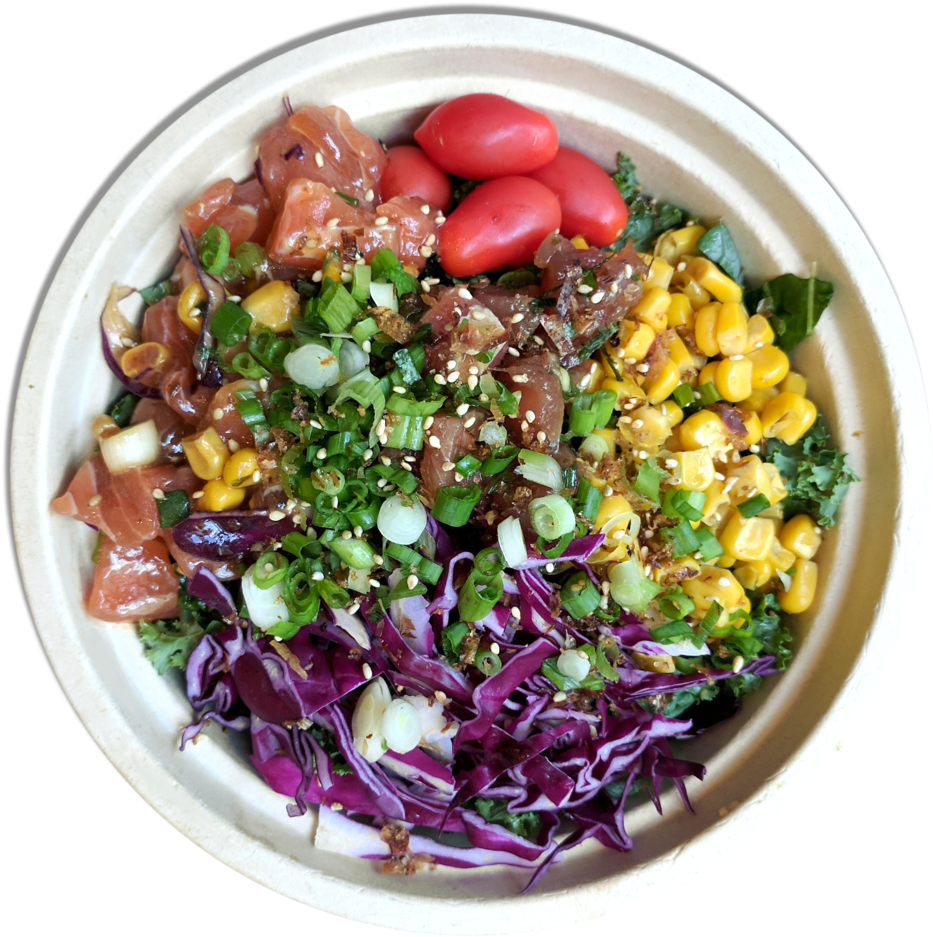 Download Rainbow Fish Bowl* - Full Size PNG Image - PNGkit