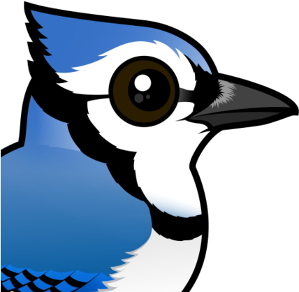 Download About The Blue Jay - Cartoon Blue Jay Bird - Full Size PNG ...