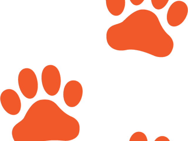 Download Dog Paw Print Orange - Full Size PNG Image - PNGkit