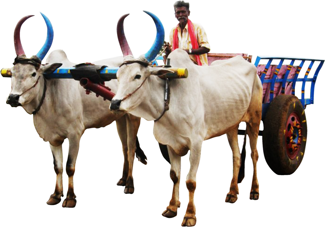 Download Jugaad Render - Bullock Cart Image Png - Full Size PNG Image ...