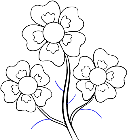 Images Of Flowers Without Colour | Best Flower Site