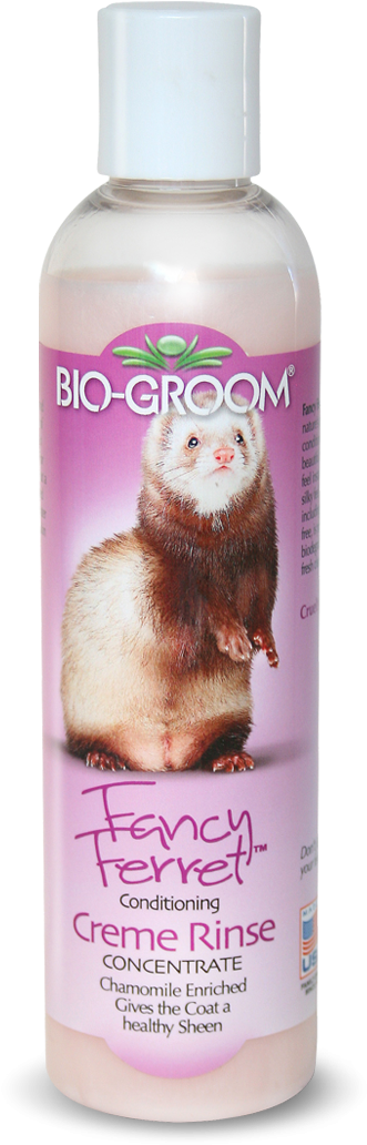 Download Fancy Ferret™ - Ferret - Full Size PNG Image - PNGkit