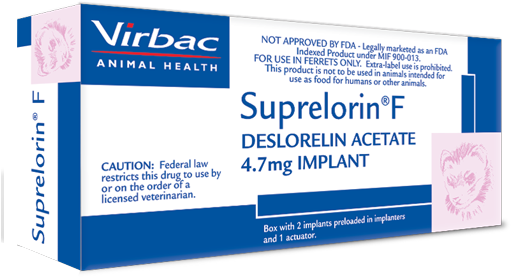 Download Ferret - Deslorelin Implant Birds - Full Size PNG Image - PNGkit