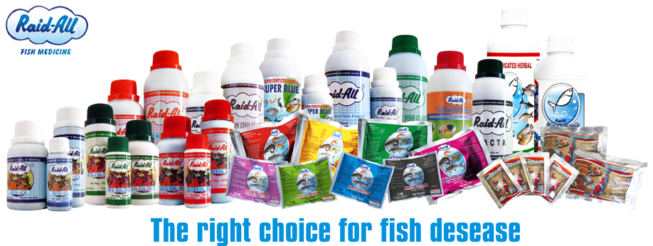 Download Fish Medicine Slider - Fish Medicine - Full Size PNG Image ...