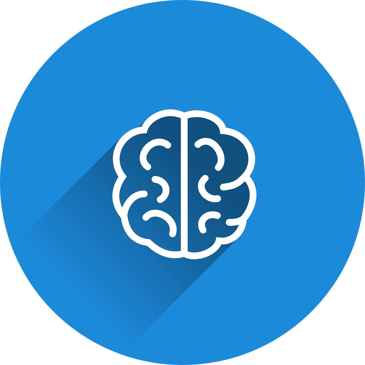 Download Brain, Icon - Full Size PNG Image - PNGkit