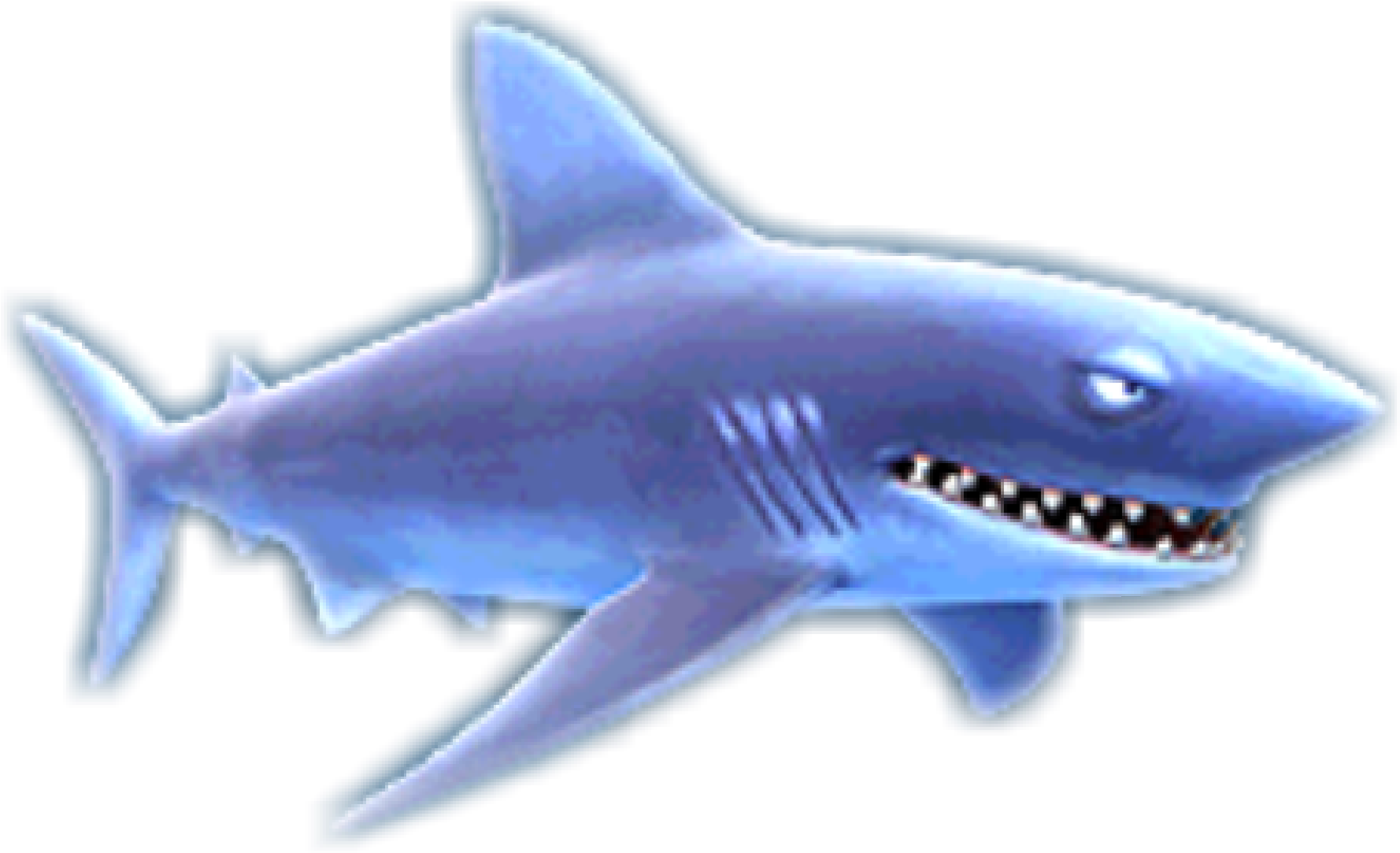 Download Makoshark - Shortfin Mako Shark - Full Size PNG Image - PNGkit