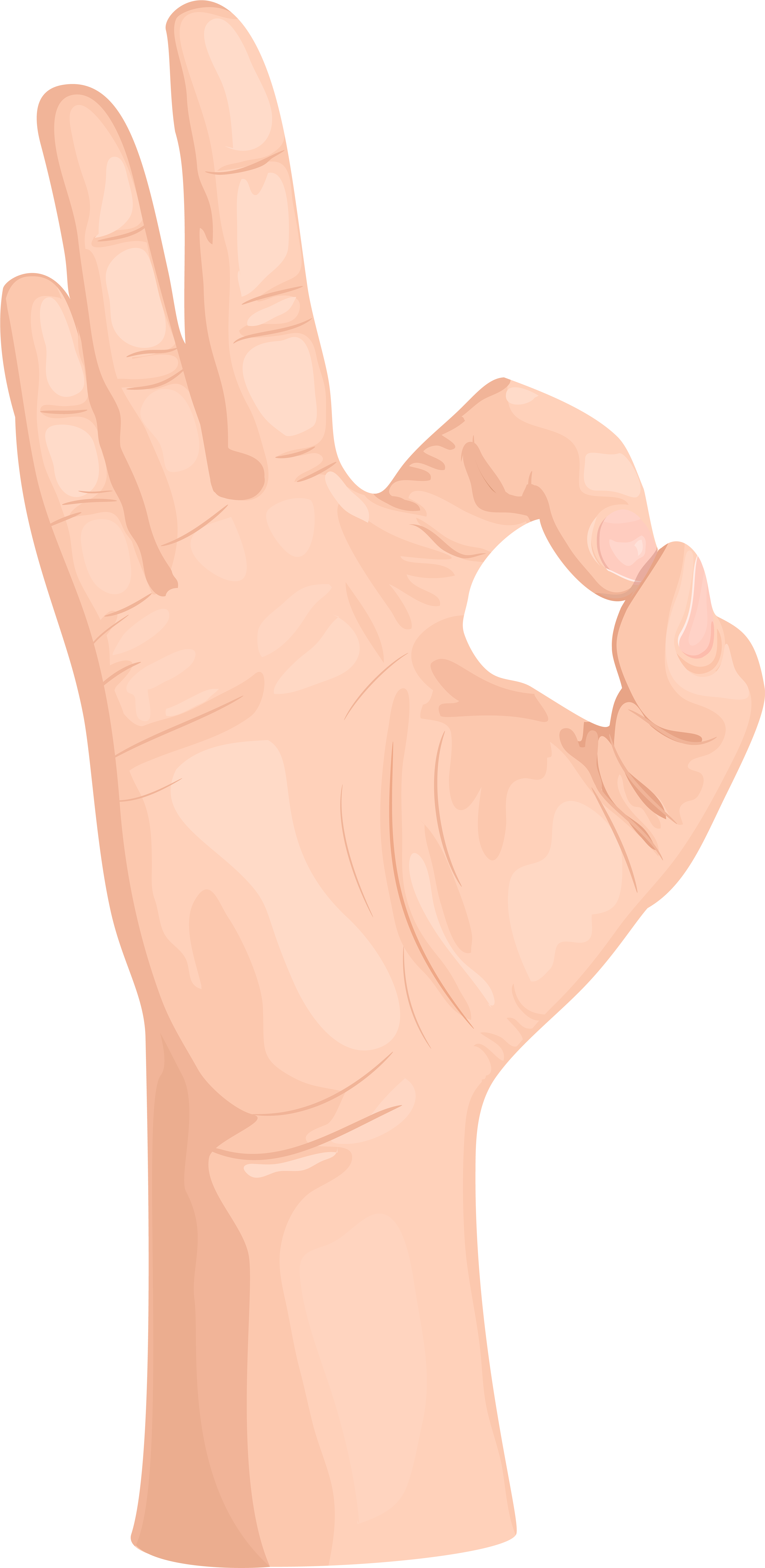 Download Ok Hand Sign Png - Full Size PNG Image - PNGkit