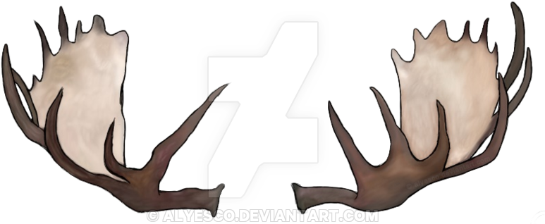 Download Collection Of Antlers - Moose Antler Drawing - Full Size PNG ...