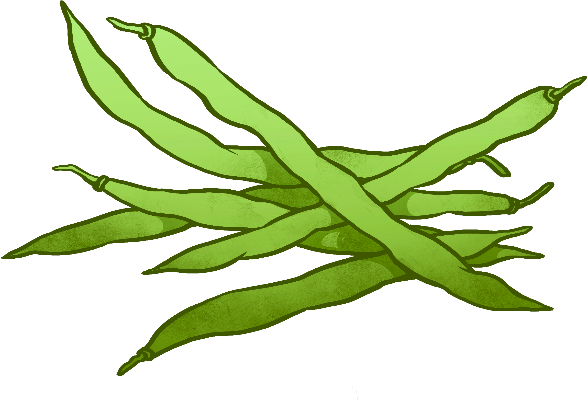 Download Banner Stock String Beans Drawing At Getdrawings - Beans Clip ...