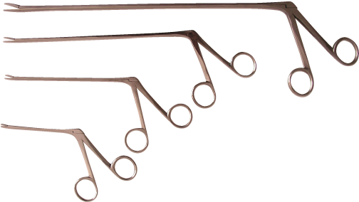 Download Aligator Forceps 5 1/2" - Hartmann Alligator Forceps - Full ...