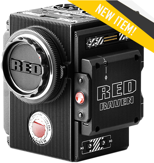 Download Redraven - Red 710-0223 Red Raven Brain - Full Size PNG Image ...