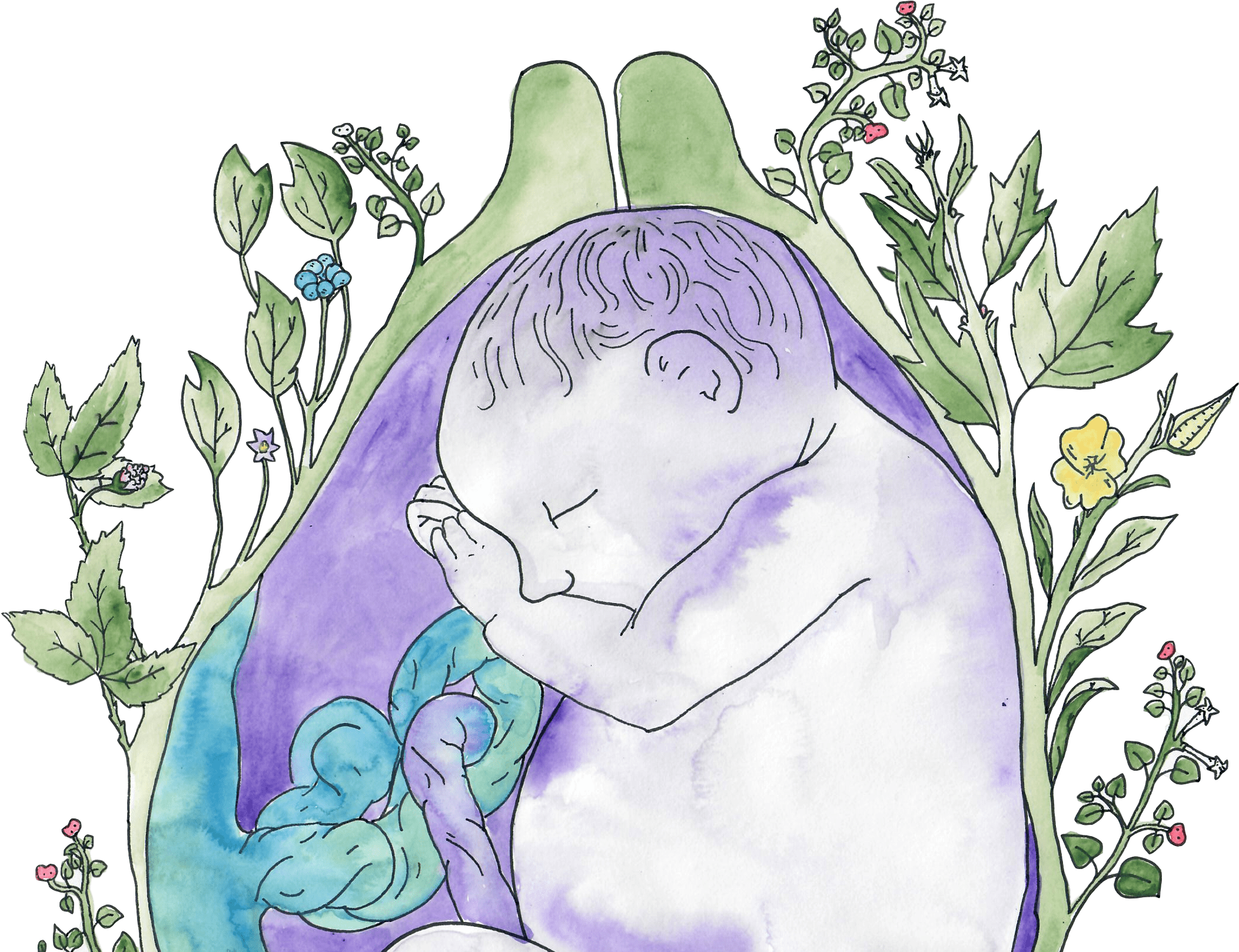 Download Fetus Png - Full Size PNG Image - PNGkit