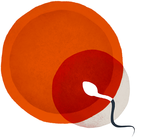 Download Episona Adds D2c Model For Consumer Male Epigenetic - Full ...