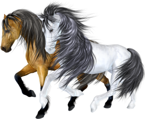 Download Horses - Full Size PNG Image - PNGkit