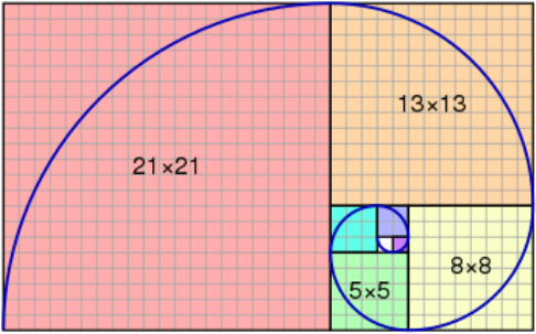 Download Transparent Fibonacci Sequence Facts - Golden Ratio - PNGkit
