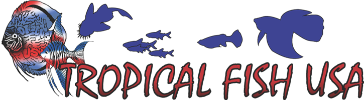 Download Tropical Fish Usa - Discus - Full Size PNG Image - PNGkit