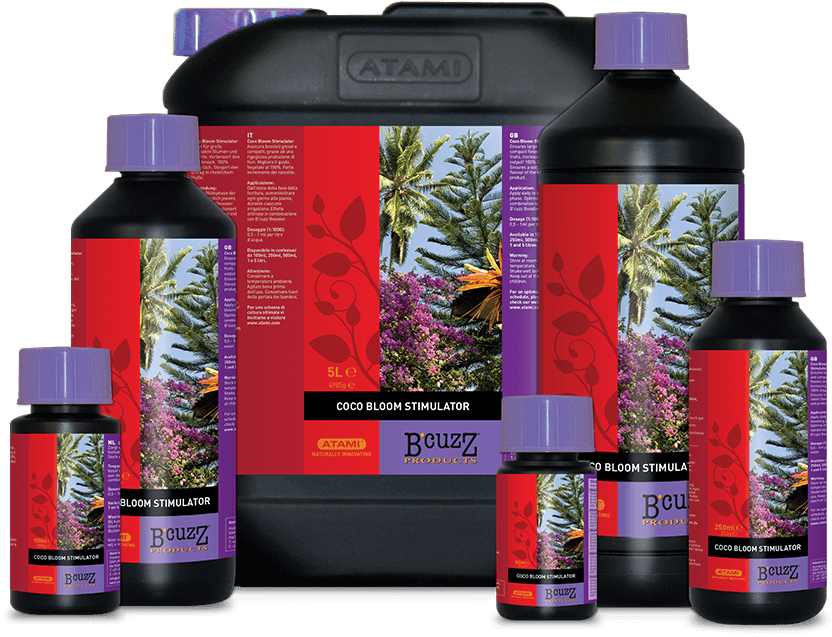 Download B'cuzz Coco Bloom Stimulator - B Cuzz Coco Bloom Stimulator ...