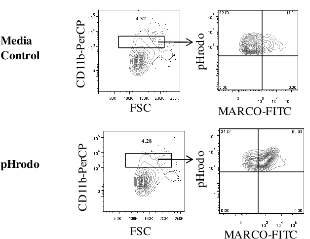 Download Transparent Representative Flow Cytometry Profile Of Marco ...