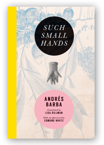 Download Barba Book Cover - Such Small Hands Andres Barba - Full Size ...