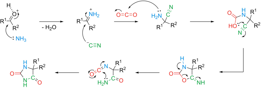 Download Reaction Mechanism[edit] - Bucherer Berg Synthesis - Full Size ...