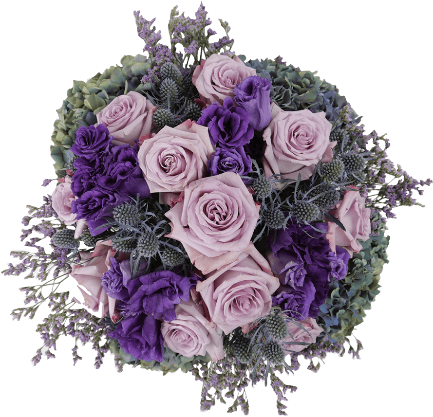 Download Purple Haze - Garden Roses - Full Size PNG Image - PNGkit