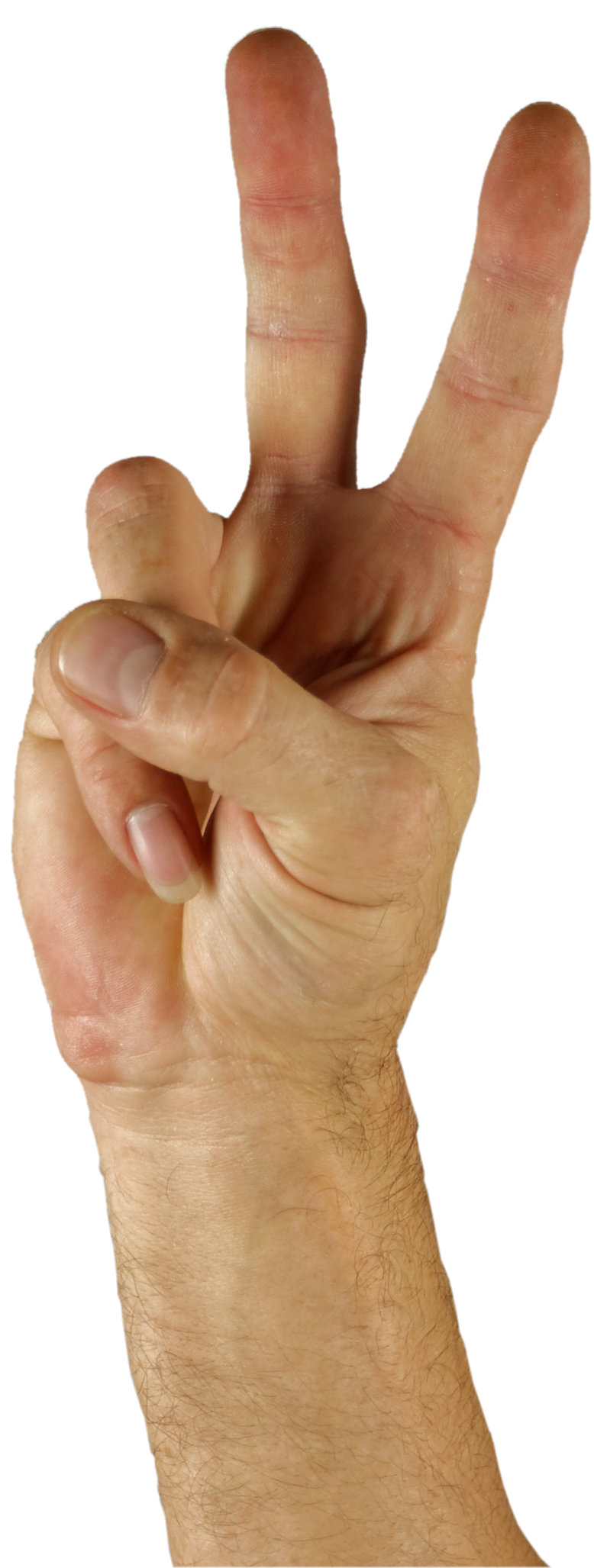 Download Harmony Peace Hope Sign Language Finger Two Hand Background ...