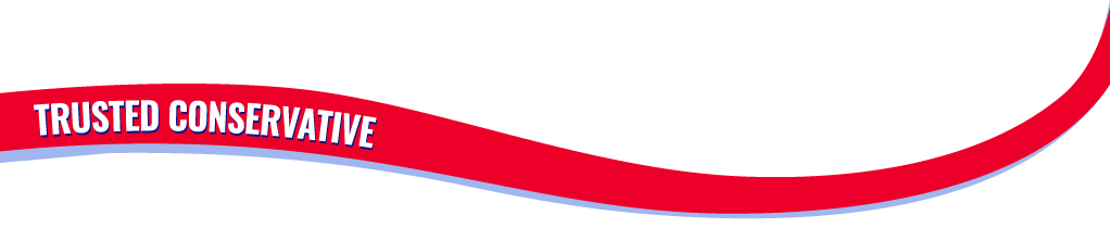 Download Gs Header Stripe - Portable Network Graphics - Full Size PNG ...