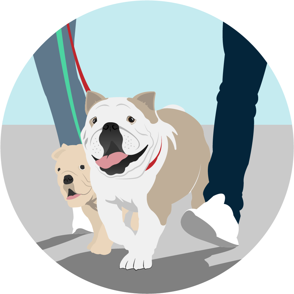 Download Icon Community - Dog Community Png - Full Size PNG Image - PNGkit
