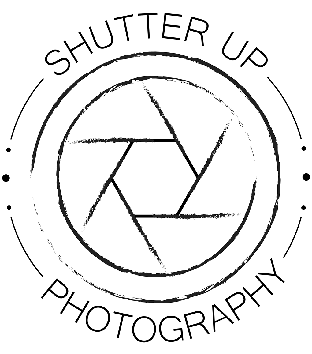 Download Circle - Full Size PNG Image - PNGkit