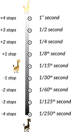 Download Shutter Speed Examples - Aperture - Full Size PNG Image - PNGkit