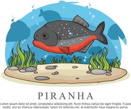 Download Piranha Vector Illustration - Illustration - Full Size PNG ...