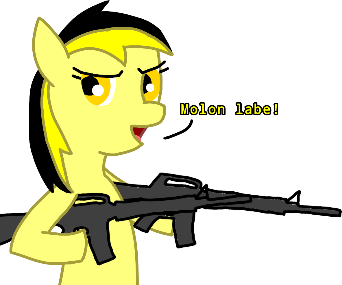 Download Anonymous, Assault Rifle, Dual Wield, Earth Pony, Female ...