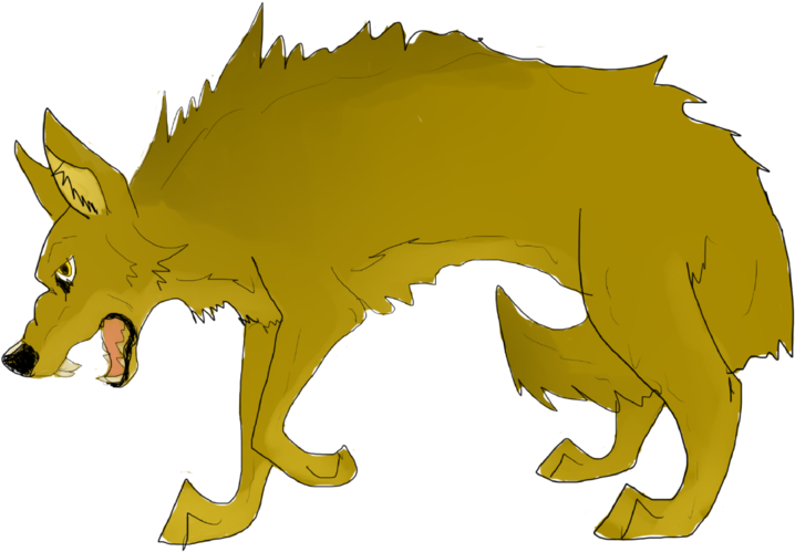 Download Coyote Quick Drawing - Wolf - Full Size PNG Image - PNGkit