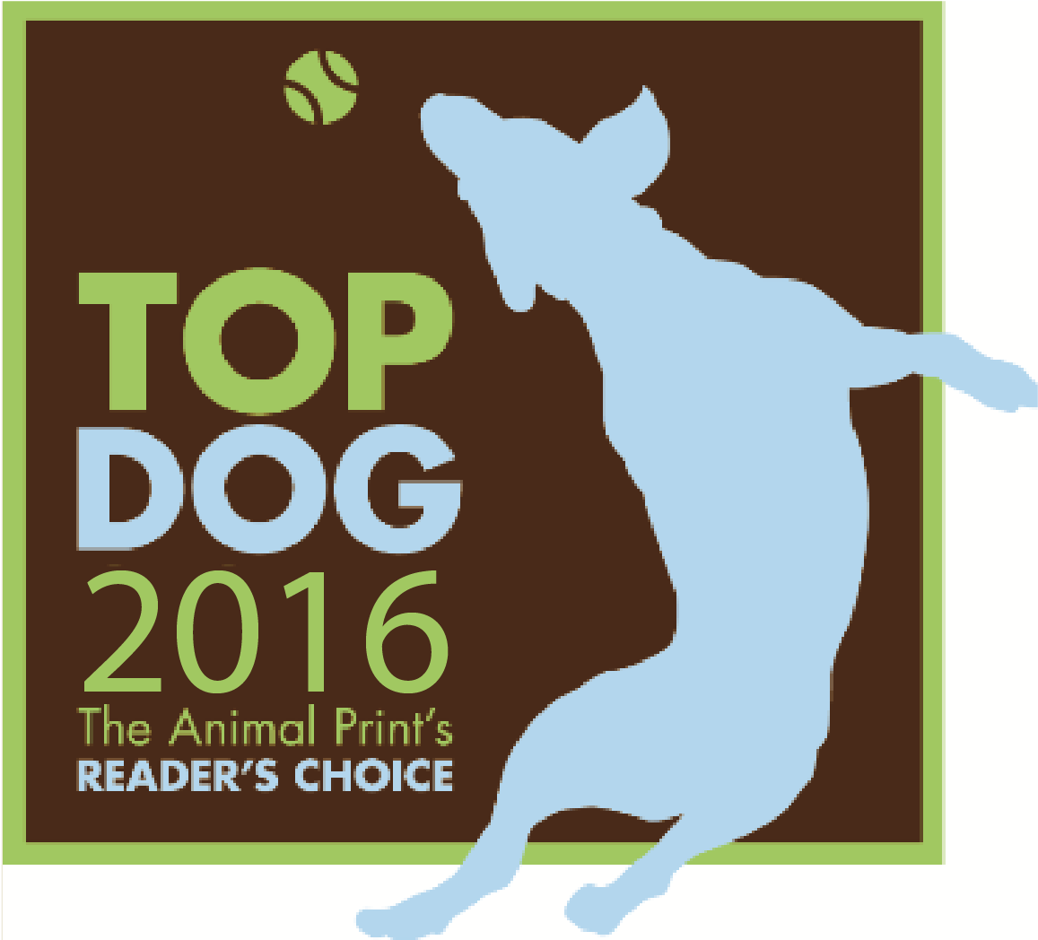 Download 2016 Top Dog Winners Ri Animal Medical Center And Four - Dog ...