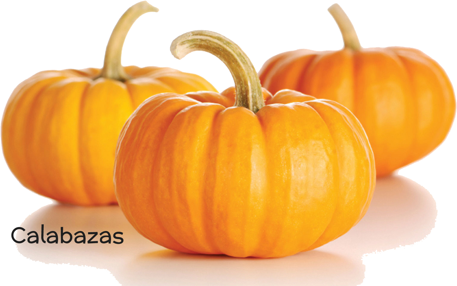 Download Calabaza - Alimentos Que Contienen Cucurbitacina - Full Size ...