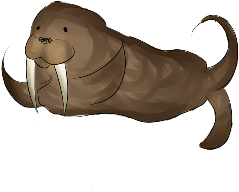Download Drawn Walrus Transparent - Walrus With No Background - Full ...