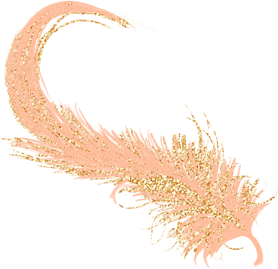 Download Transparent Feather Golden Gold Rosegold - Feather - PNGkit