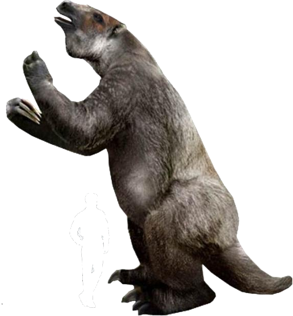 Download Megatherium Was A Genus Of Rhino-sized Ground Sloths - Giant ...