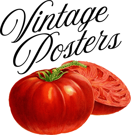 Download Select Options - Full Size PNG Image - PNGkit