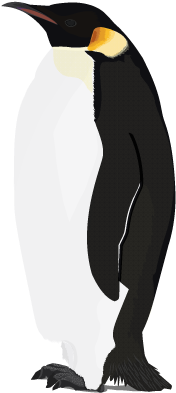 Download Penguin Png Picture - Transparent Background Penguin Png ...