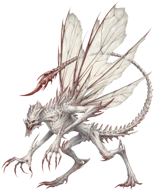 Download In Today's Excerpt, We Examine One Of The Many Lesser - Bone ...