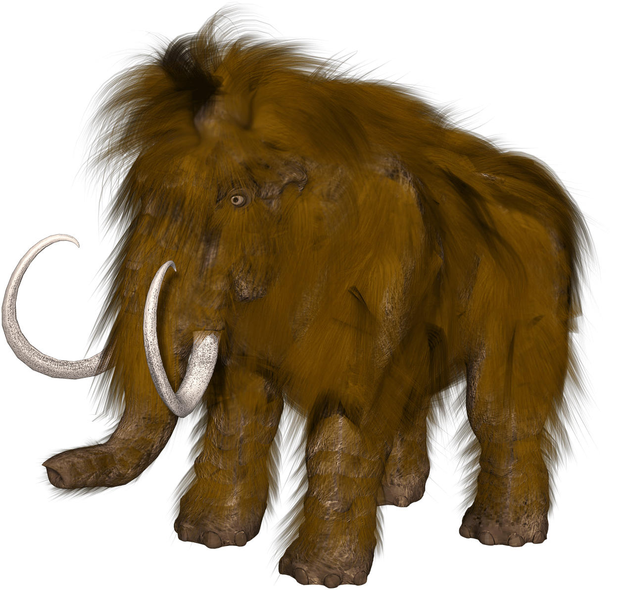 Download Download - Mammoth Transparent - Full Size PNG Image - PNGkit