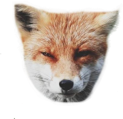 Download See You Watching Me - Full Size PNG Image - PNGkit