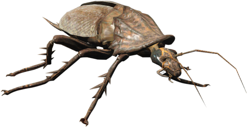 Download Radroach - Fallout 4 Radroach - Full Size PNG Image - PNGkit