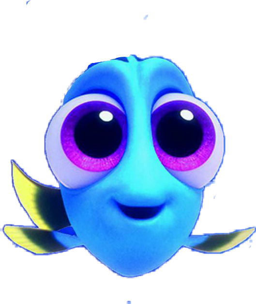 Download Kind Of Fish Is Dory - Full Size PNG Image - PNGkit