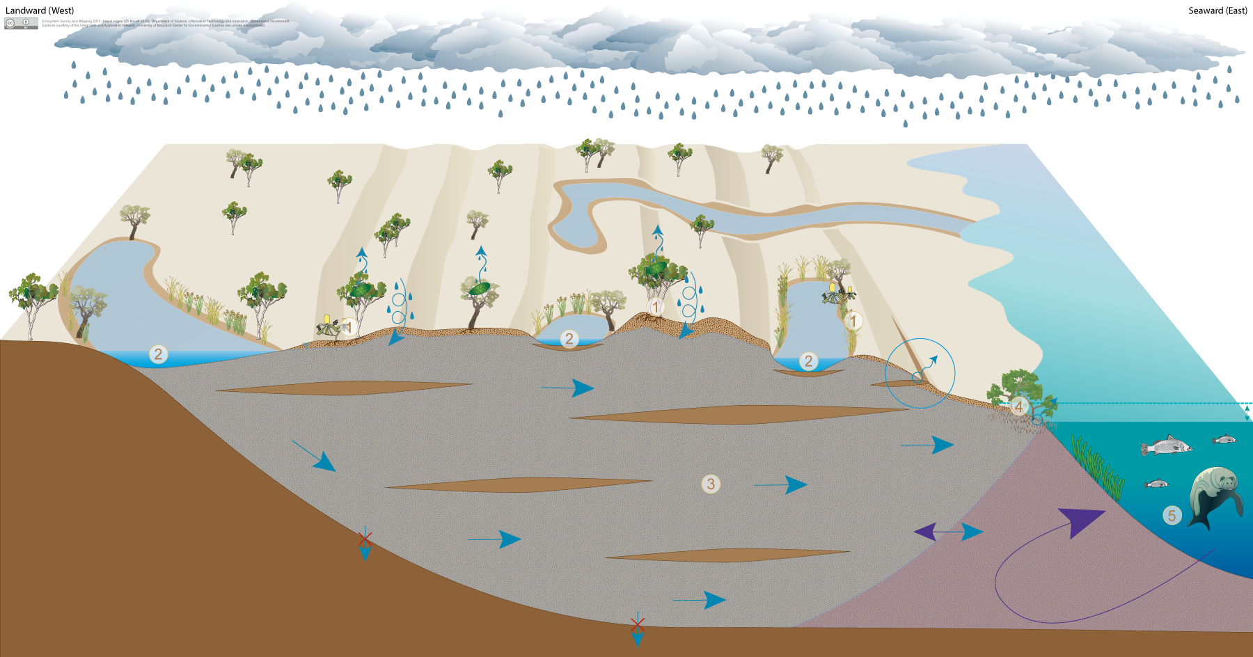 Download Beach Ridges - Full Size PNG Image - PNGkit